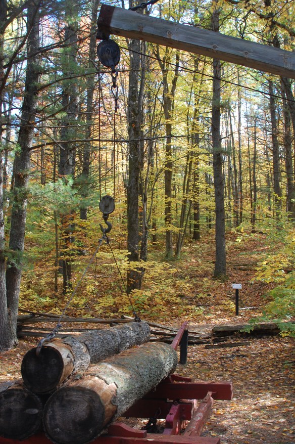 Hartwick Pines State Park | Hennacornoeli Days